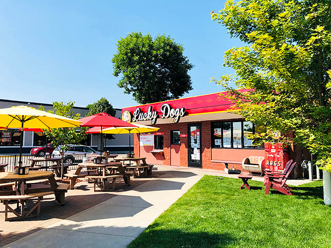 Those bright umbrellas aren't just for show &ndash; they're signaling all of Bemidji that serious hot dog happiness happens here.