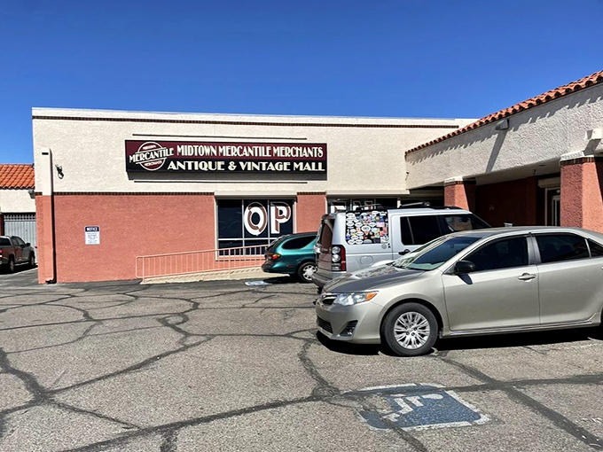 The clean lines and organized layout promise a shopping experience that's both efficient and endlessly entertaining for treasure hunters.