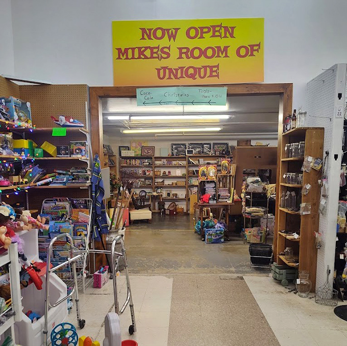 Organized chaos reigns supreme here, where patient hunters discover gems hidden among countless treasures.