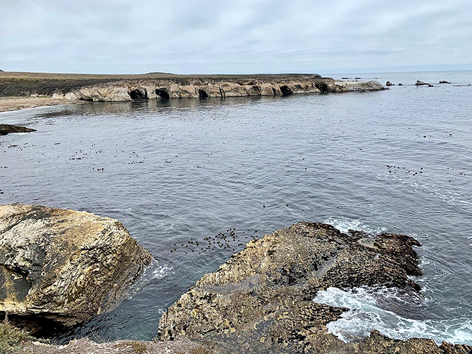 The tide pool wonderland at Monta&ntilde;a de Oro creates nature's perfect aquarium. A geologist's dream and a beachcomber's paradise.