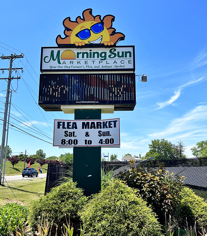 Hello, sunshine! Morning Sun Marketplace's cheerful cartoon sun mascot promises a bright shopping experience regardless of Pennsylvania's sometimes moody weather.