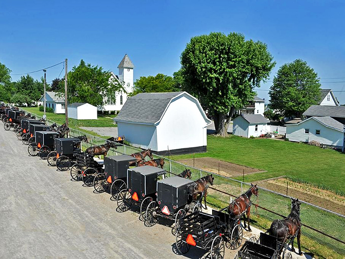 Rows of Amish buggies create the world's most charming traffic jam outside Sunday services.