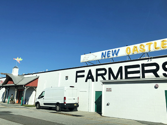 Weekend warriors gather here, where "Farmers Market" means fresh produce and unexpected treasures under one massive roof.