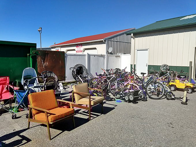 Yesterday's treasures bask in the parking lot sunshine, waiting for new homes and second chances.