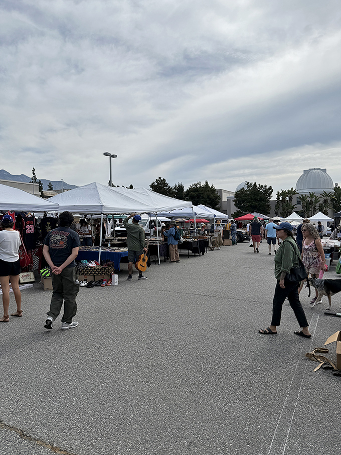 Vintage furniture and household treasures find new homes at this beloved community gathering spot.