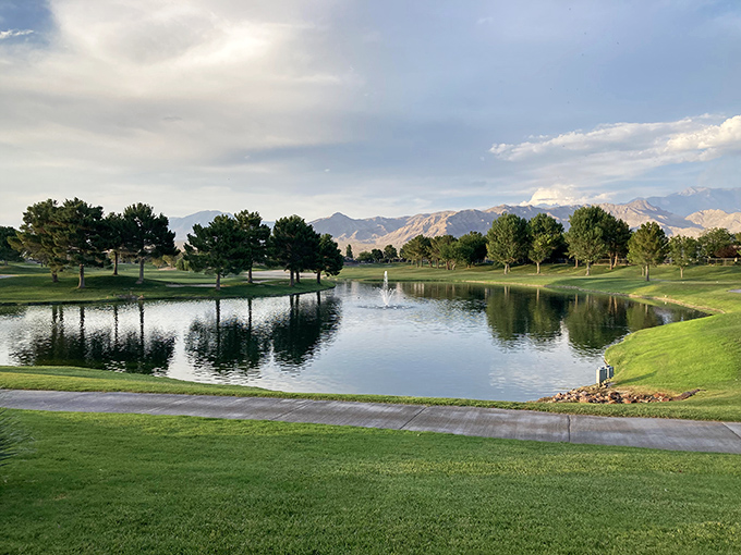 Sunset paints the neighborhood in gold, making every evening feel like nature's own free light show performance.