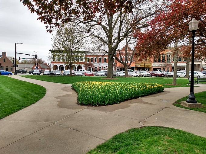 Spring in Pella bursts to life with rows of yellow tulips brightening the town square against a backdrop of classic brick storefronts.