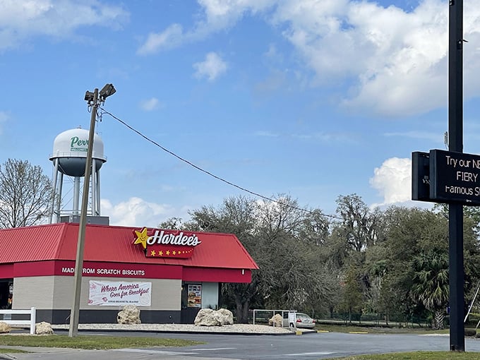 Small-town Florida in a single shot: a Hardee's, a water tower, and endless blue sky&mdash;simple pleasures in Perry.