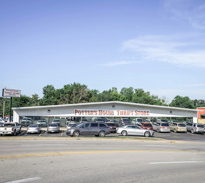 Row after row of possibilities await inside this massive space where patient hunters always discover unexpected treasures.