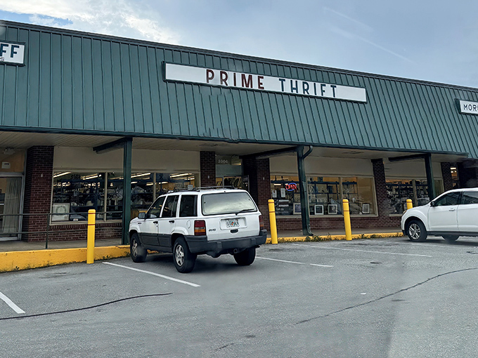 Strip mall location, warehouse-sized selection - where everyday shopping meets extraordinary finds under one massive roof. 