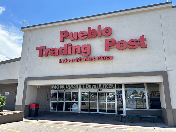 Clean, organized spaces make browsing feel civilized while keeping the thrill of discovery completely intact.