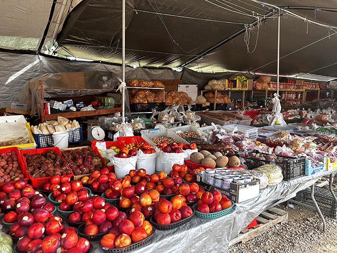 Nature's candy store! These tomatoes look so perfect they could win beauty contests&mdash;if vegetables had such things.