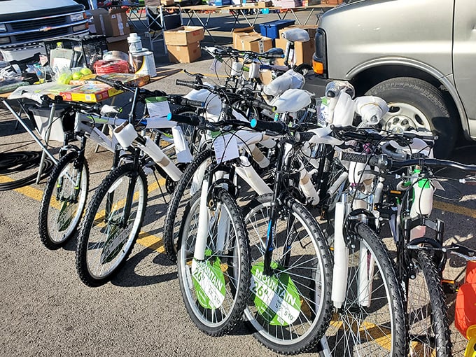 Tour de Bargain! These pristine mountain bikes stand at attention like eager recruits, their $99.99 price tags fluttering like green flags of affordable adventure.