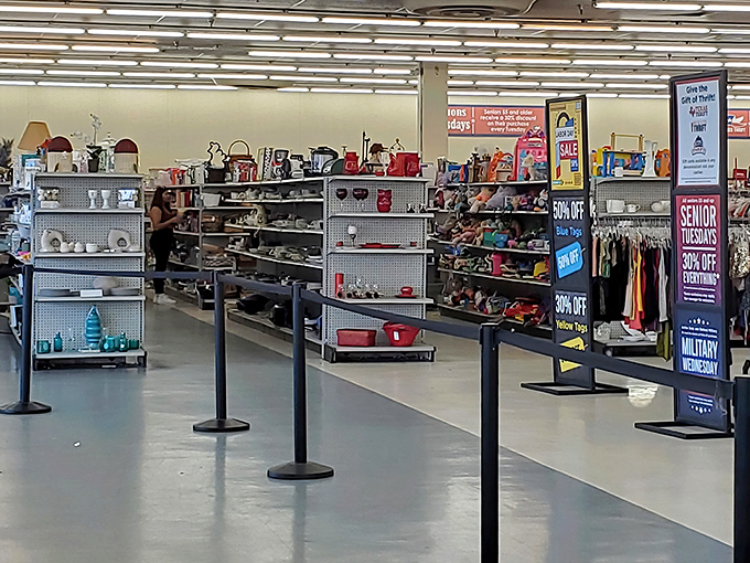 Those shelves hold more stories than a library &ndash; each item waiting for its next chapter.