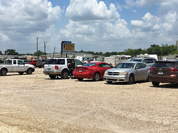The parking lot tells the story before you even walk inside - this many cars means serious bargains.