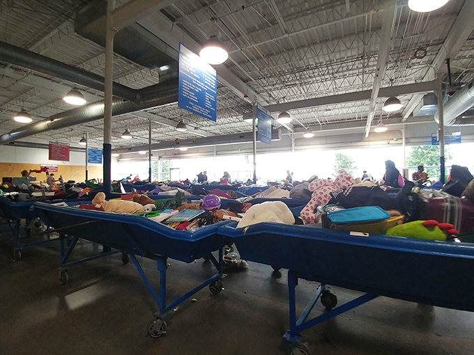 Those blue sorting bins hold the promise of pound-priced treasures for dedicated thrift hunters. 