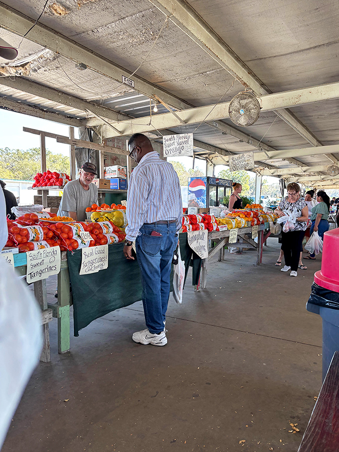 Fresh citrus stacked with care by vendors who know their oranges aren't just fruit &ndash; they're Florida sunshine.
