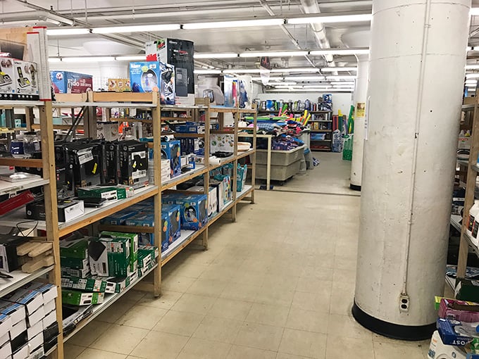 Those organized shelves inside promise hours of productive browsing for the dedicated thrift store explorer.
