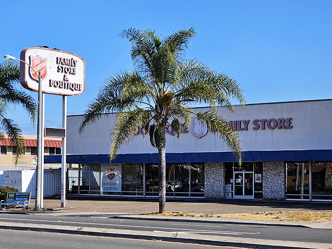 Palm trees frame this bargain hunter's paradise&mdash;where one person's donations become another's discoveries.