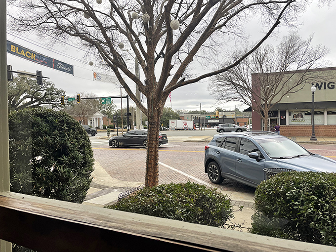 Thomasville through the winter branches&mdash;where Black Friday shoppers hunt bargains beneath festive lights and nobody's in too much of a hurry.