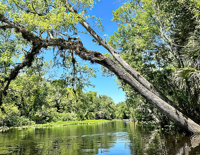Golden hour at its finest! The sun plays across this spring's surface like nature's own light show&mdash;no electricity bill required.