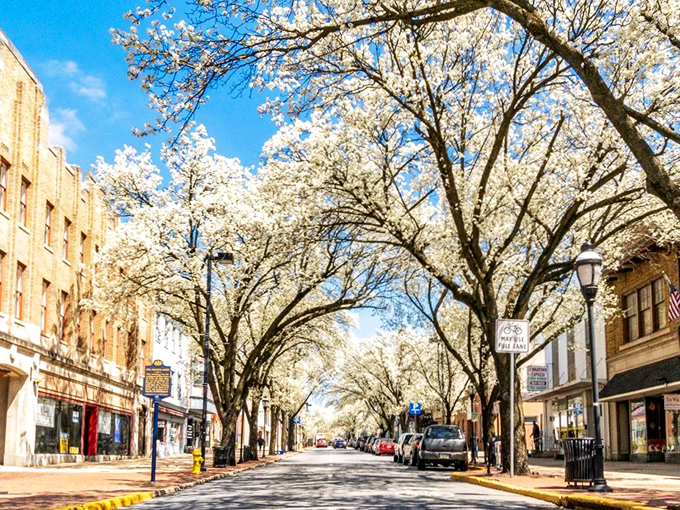 Downtown storefronts maintain their dignity while embracing change - a lesson for us all.