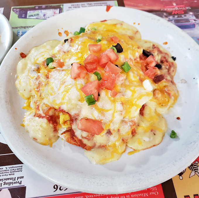 Melted cheese cascades over this enchilada like a yellow waterfall, with fresh tomatoes and green onions adding pops of garden brightness.