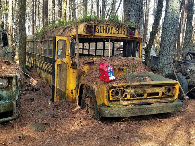 School's out forever for this yellow time capsule. The abandoned bus whispers stories of children's laughter and country roads from decades past.
