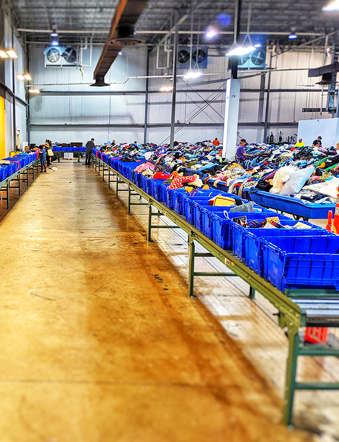 Row after row of blue bins create a thrifter's yellow brick road. Follow it long enough and you might find those ruby slippers!