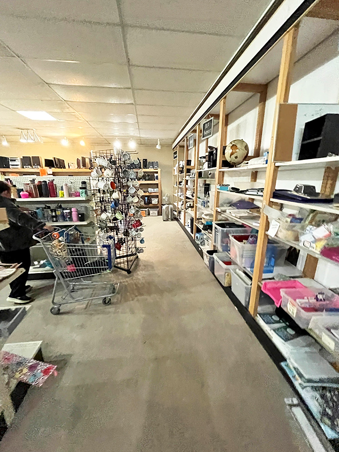 This aisle could outfit a small office or stock a craft room. The shopping cart stands ready for the inevitable "just one more thing."