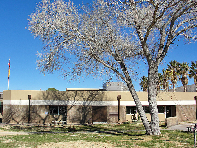 The public library stands as a testament to community priorities, where knowledge remains free even as everything else gets more expensive.