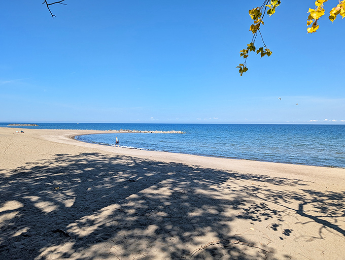 Tree shadows paint abstract art on sand, proving nature was doing Instagram filters before it was cool.
