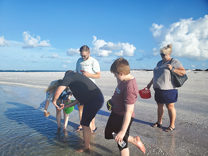 Shell hunting isn't just a hobby, it's a competitive sport at Anclote Key. The serious collectors arrive early with their specialized equipment.