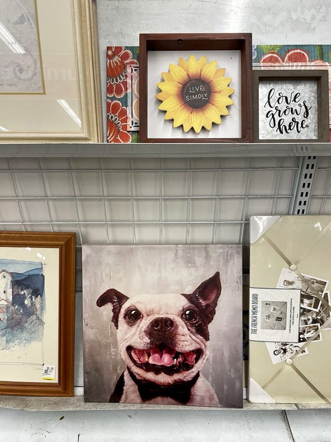 Wall art that ranges from "museum-worthy" to "so-bad-it's-good." That smiling Boston Terrier portrait? He's judging your other decor choices.
