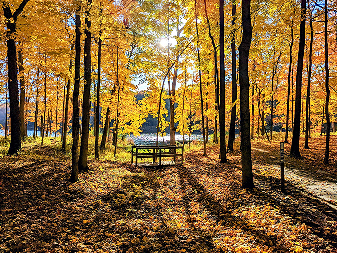 Autumn bench overlooking the lake &ndash; better than any retirement brochure you've ever seen.