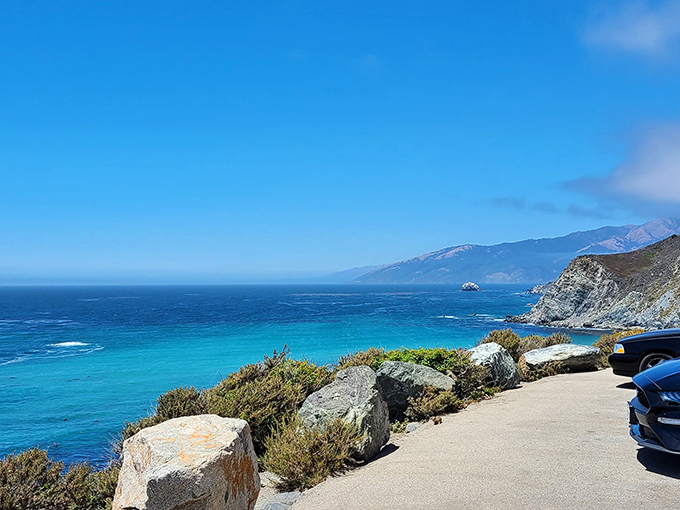 Highway 1 delivers views that make passengers involuntarily reach for their cameras. The road itself is a destination worth savoring.