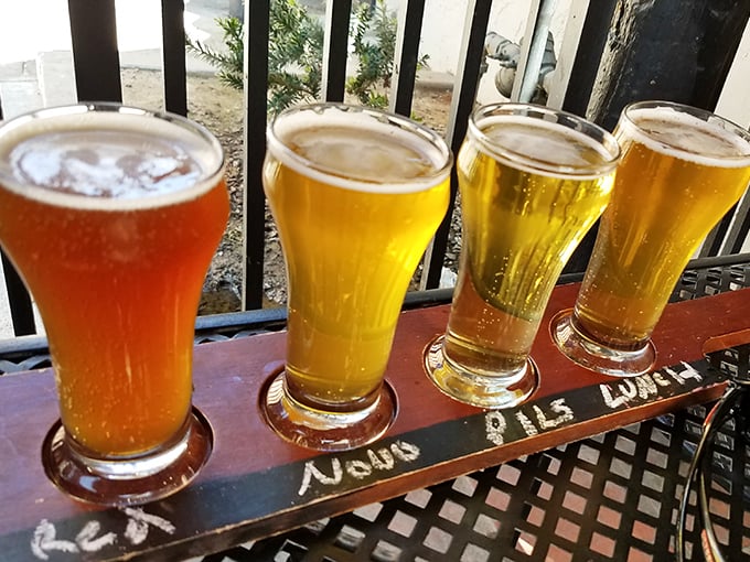A flight of liquid gold awaits the thirsty traveler. These craft beers aren't just drinks &ndash; they're the perfect companions to Rocket Dog's savory offerings.