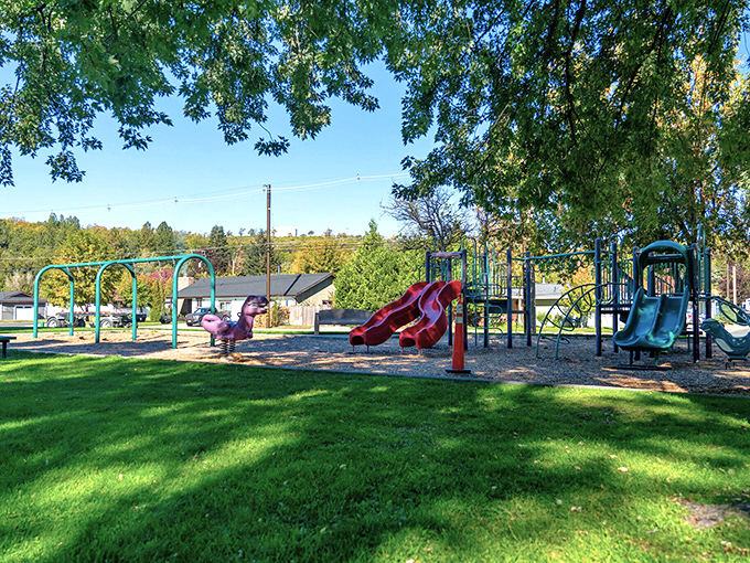 Community parks provide gathering spaces where generations connect and nobody's staring at their phone &ndash; revolutionary concept, I know!