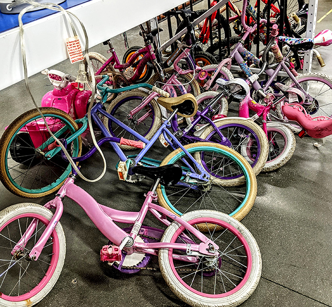 Colorful bikes ready to roll again &ndash; because wheels don't retire, they just find new riders to make memories with.