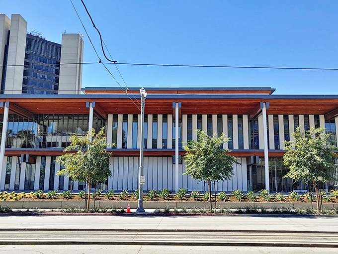 Modern architecture meets California cool at this library that actually makes you want to check out a book.