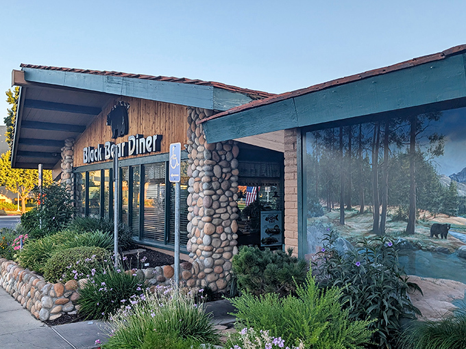 Black Bear Diner's rustic stone facade promises comfort food that hugs your soul like your grandmother, if your grandmother could cook for 200 people. 