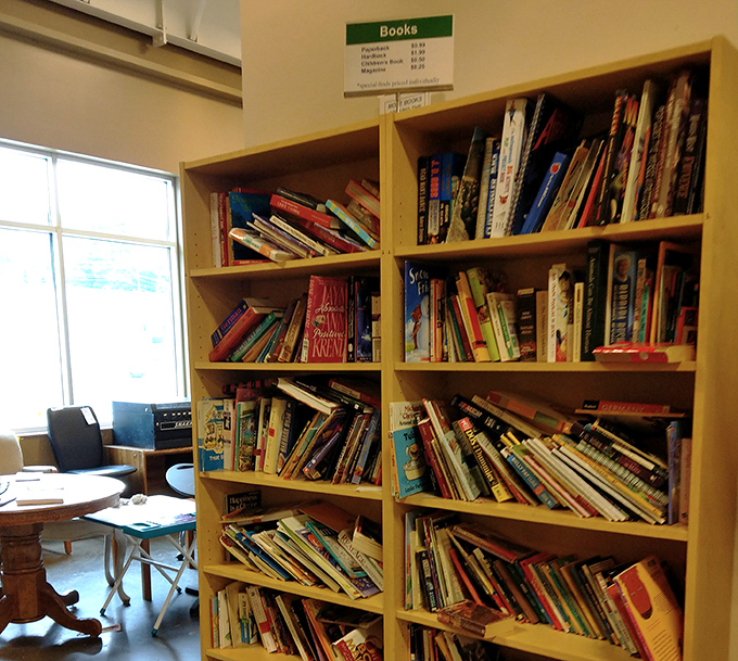 The book section: where bestsellers retire and literary treasures hide. At these prices, you can finally build that impressive home library you've been pretending you already have.