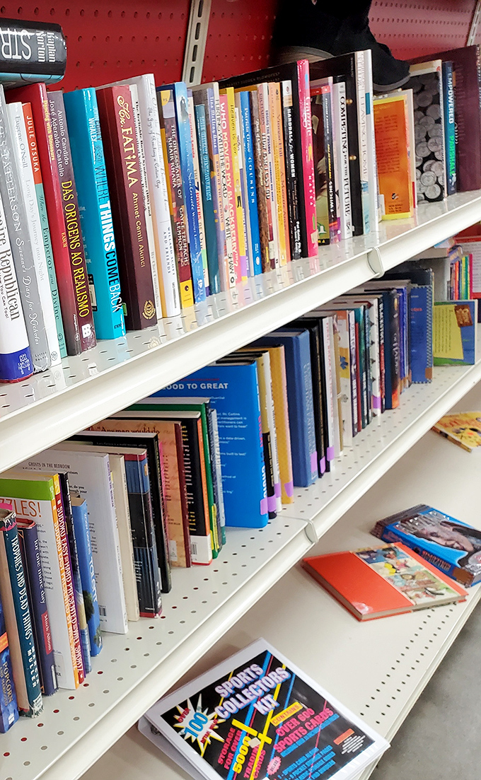 Books stacked with care&mdash;cookbooks that fed families, travel guides that inspired journeys, and self-help volumes that someone clearly didn't need anymore.