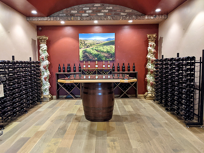 Lake County's wineries offer tasting experiences without Napa Valley crowds or prices. Wine country's approachable cousin has arrived.