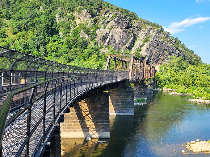 This pedestrian bridge isn't just a crossing&mdash;it's a front-row seat to nature's grandeur, suspended between everyday life and wilderness adventure.