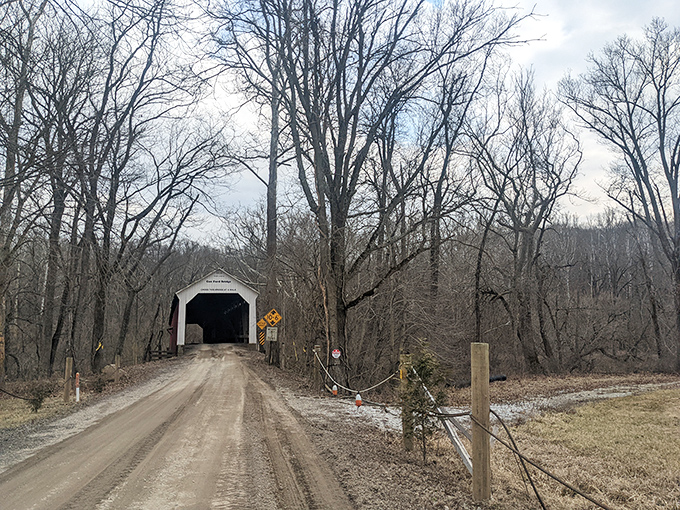 Winter strips away autumn's finery but reveals the bridge's steadfast character. Some beauties don't need seasonal decorations to make a statement.