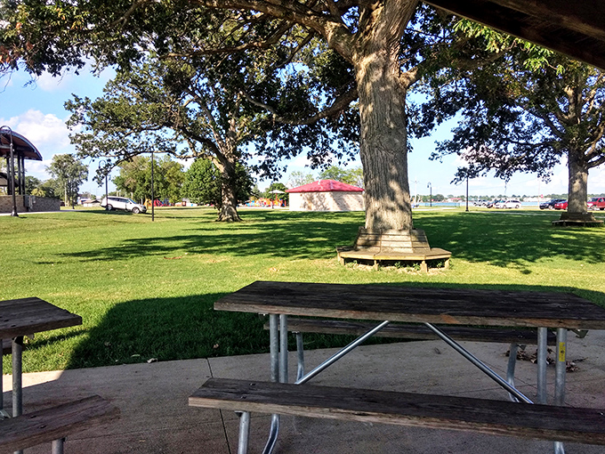 Picnic tables under shade trees create the perfect setting for family gatherings where three generations debate the merits of potato salad recipes.