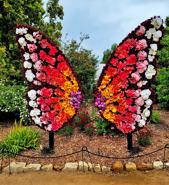 These vibrant butterfly wings, crafted entirely from flowers, remind us that sometimes the most magical garden creatures aren't the ones that flutter by naturally.