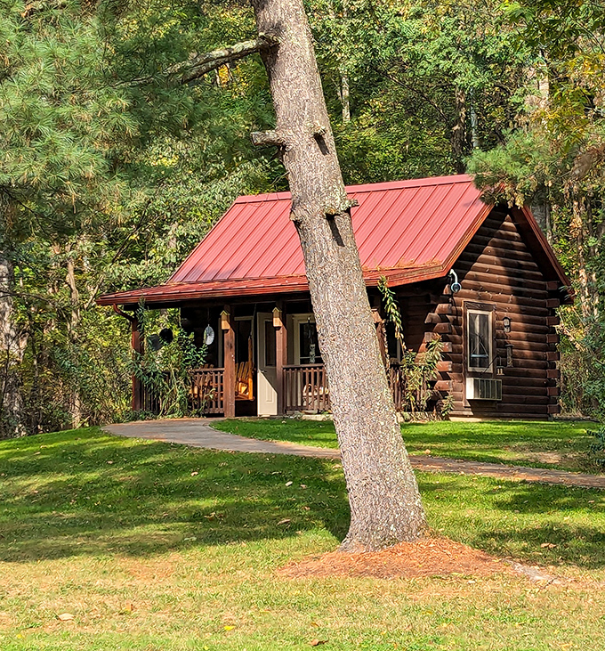 This cabin doesn't just offer a place to sleep &ndash; it's selling the dream of waking up to birdsong instead of alarm clocks.