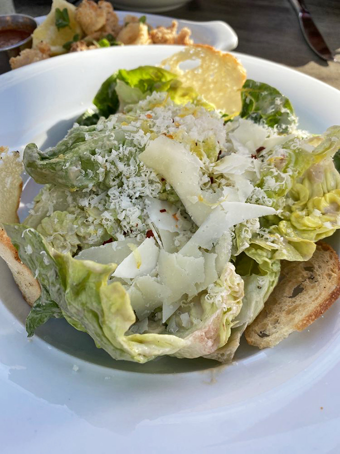 Caesar salad done right&mdash;crisp romaine, proper dressing, and shaved parmesan that hasn't seen the inside of a green canister.